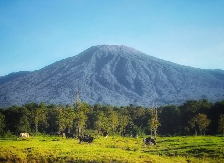 Gunung Slamet Diusulkan Jadi Taman Nasional - Kabarjatim.com